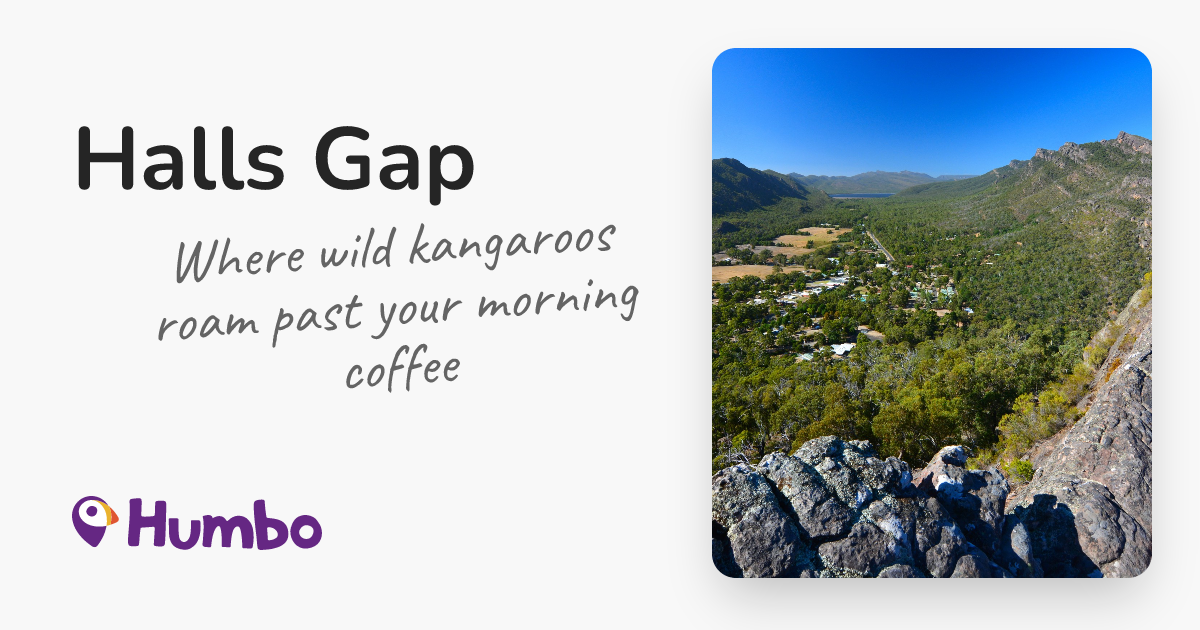 Halls Gap - Where wild kangaroos roam past your morning coffee