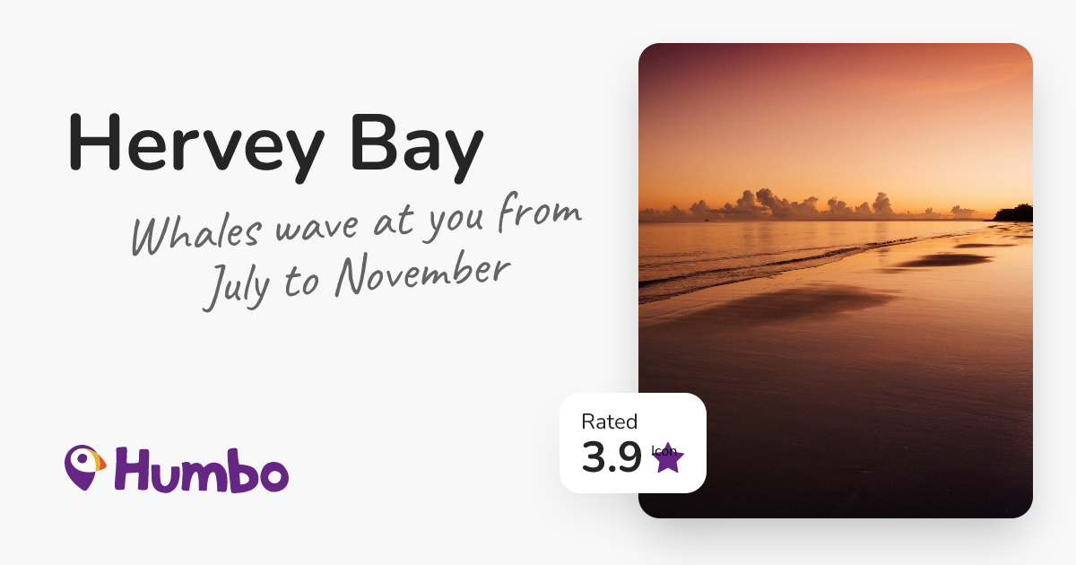 Hervey Bay - Whales wave at you from July to November