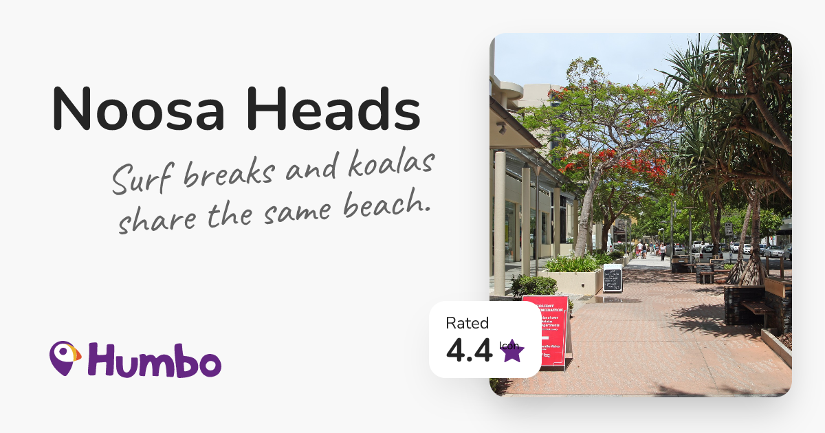 Noosa Heads - Surf breaks and koalas share the same beach.