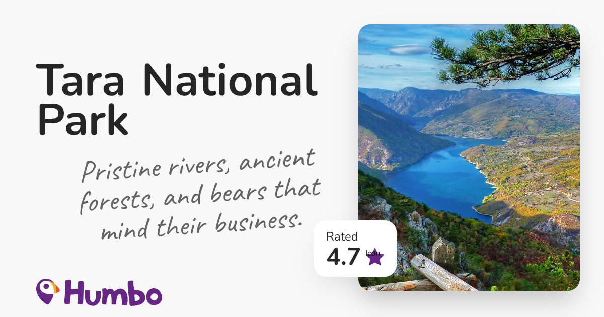 Tara National Park - Pristine rivers, ancient forests, and bears that ...