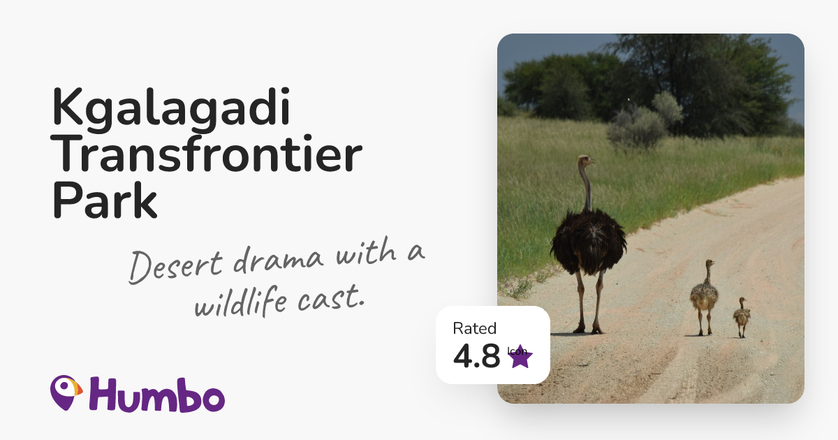 Kgalagadi Transfrontier Park - Desert drama with a wildlife cast.