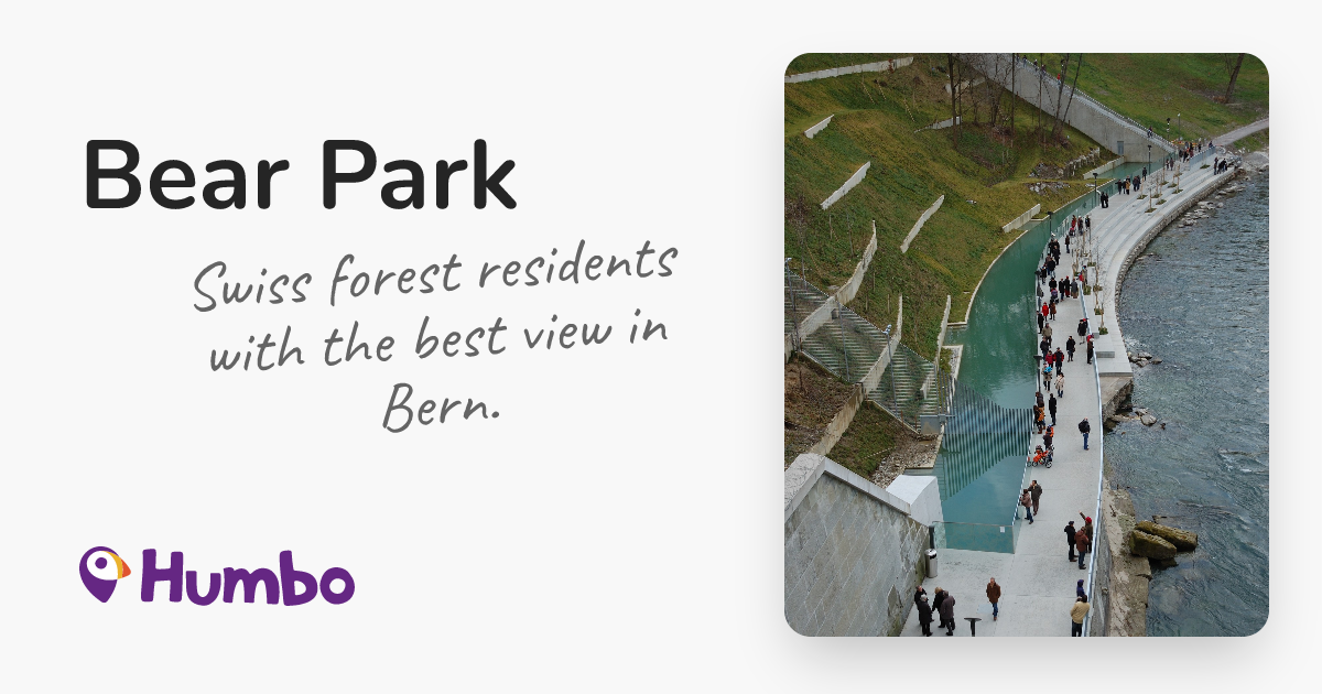 Bear Park - Swiss forest residents with the best view in Bern.