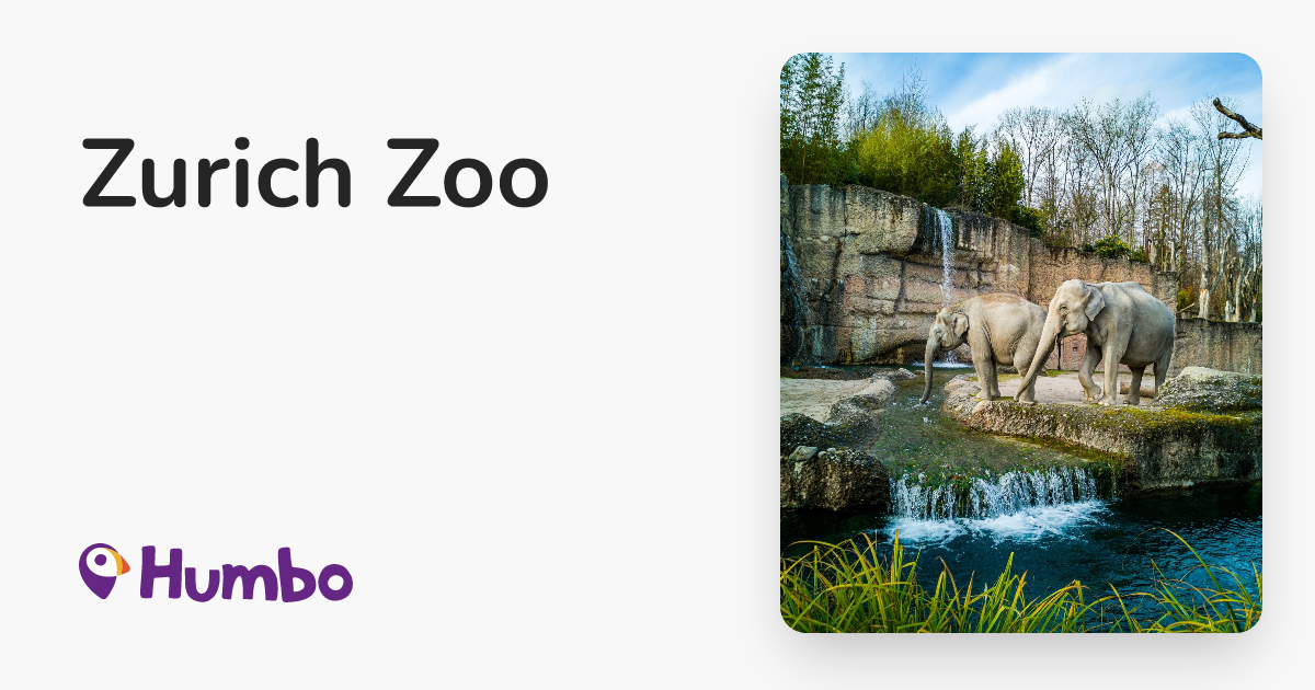 Zurich Zoo and Masoala Rainforest