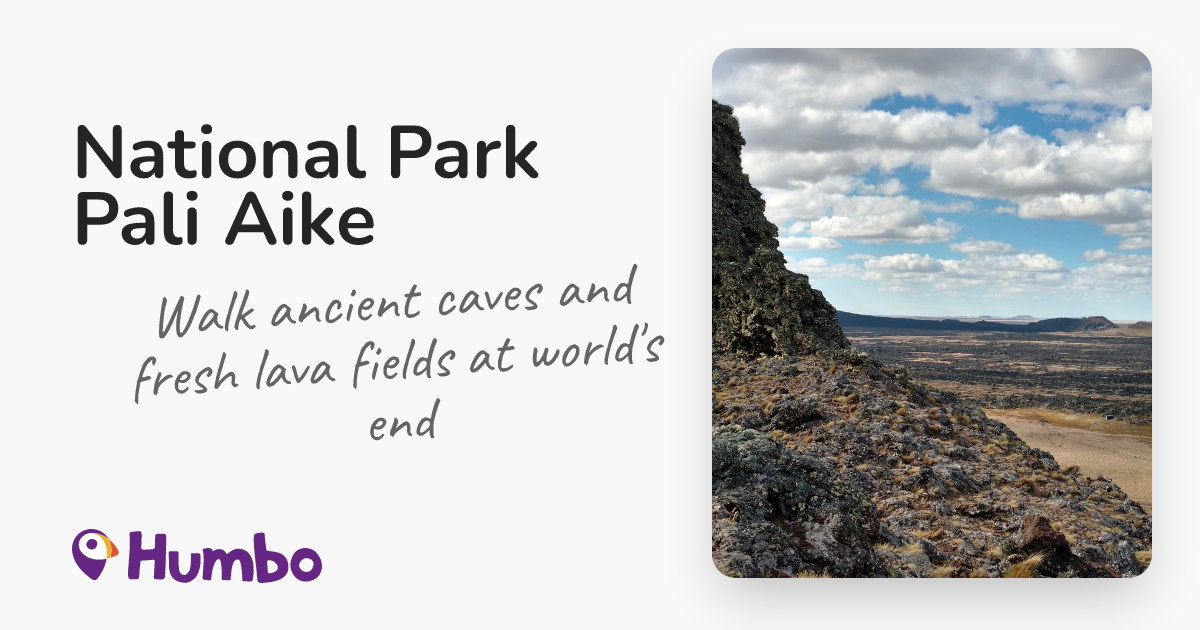National Park Pali Aike - Walk ancient caves and fresh lava fields at ...