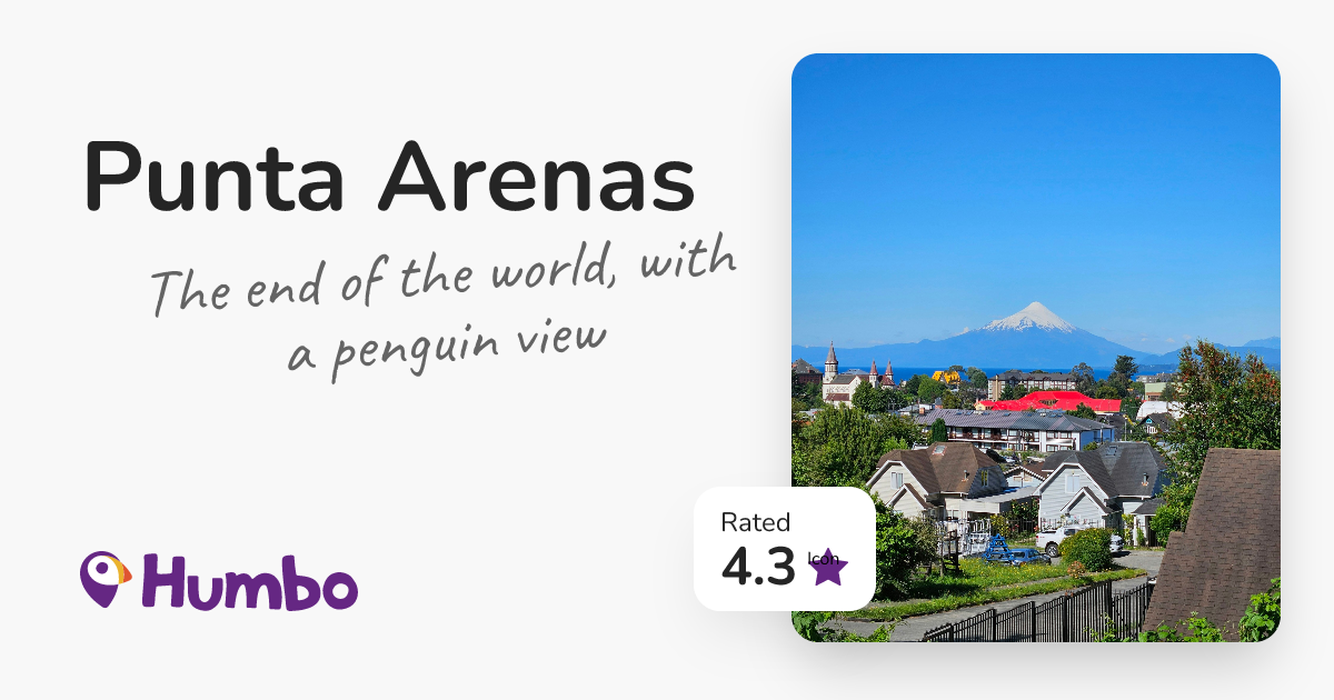 Punta Arenas - The end of the world, with a penguin view