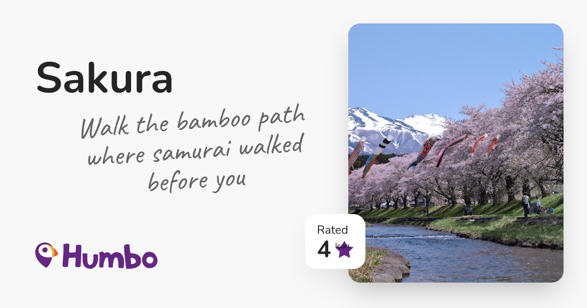 Sakura - Walk the bamboo path where samurai walked before you