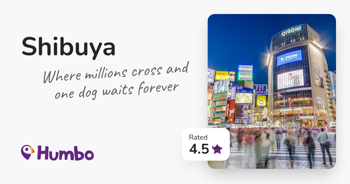 Shibuya - Where millions cross and one dog waits forever