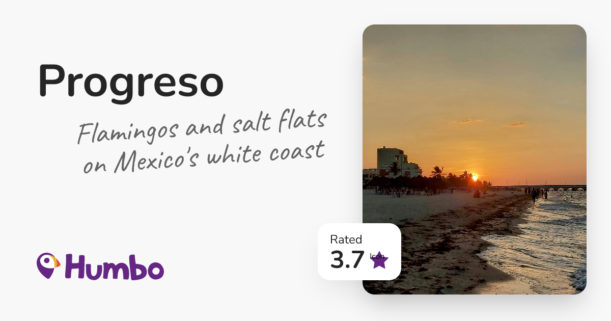 Progreso - Flamingos and salt flats on Mexico's white coast
