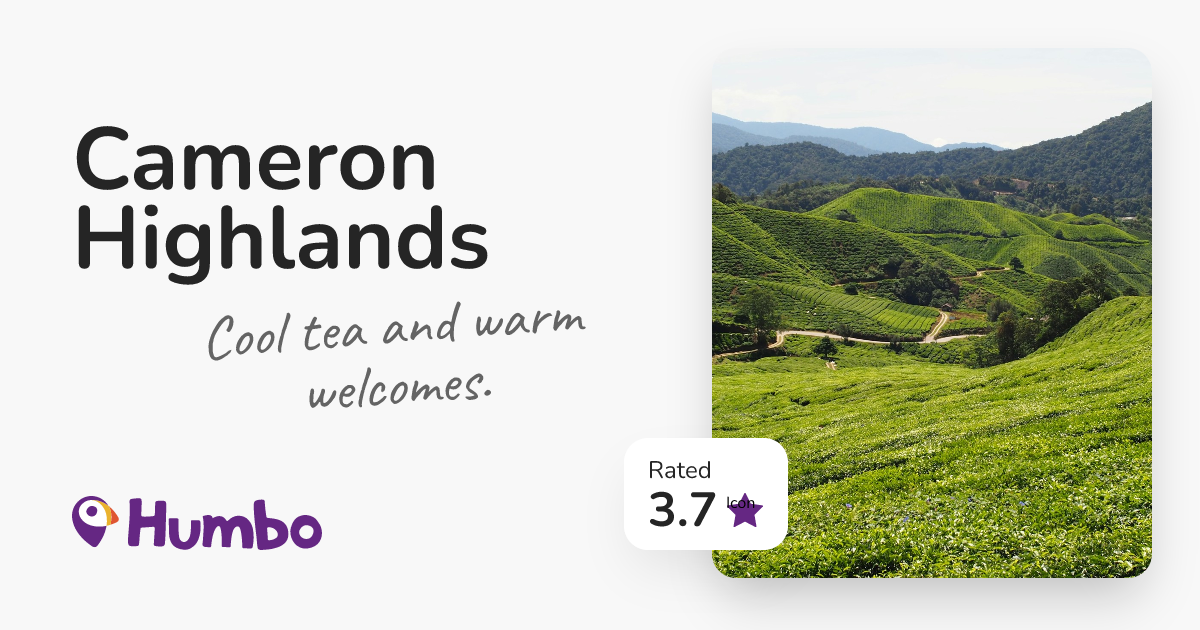Cameron Highlands - Cool tea and warm welcomes.