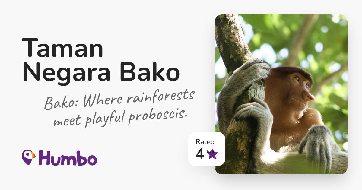 Taman Negara Bako - Bako: Where rainforests meet playful proboscis.