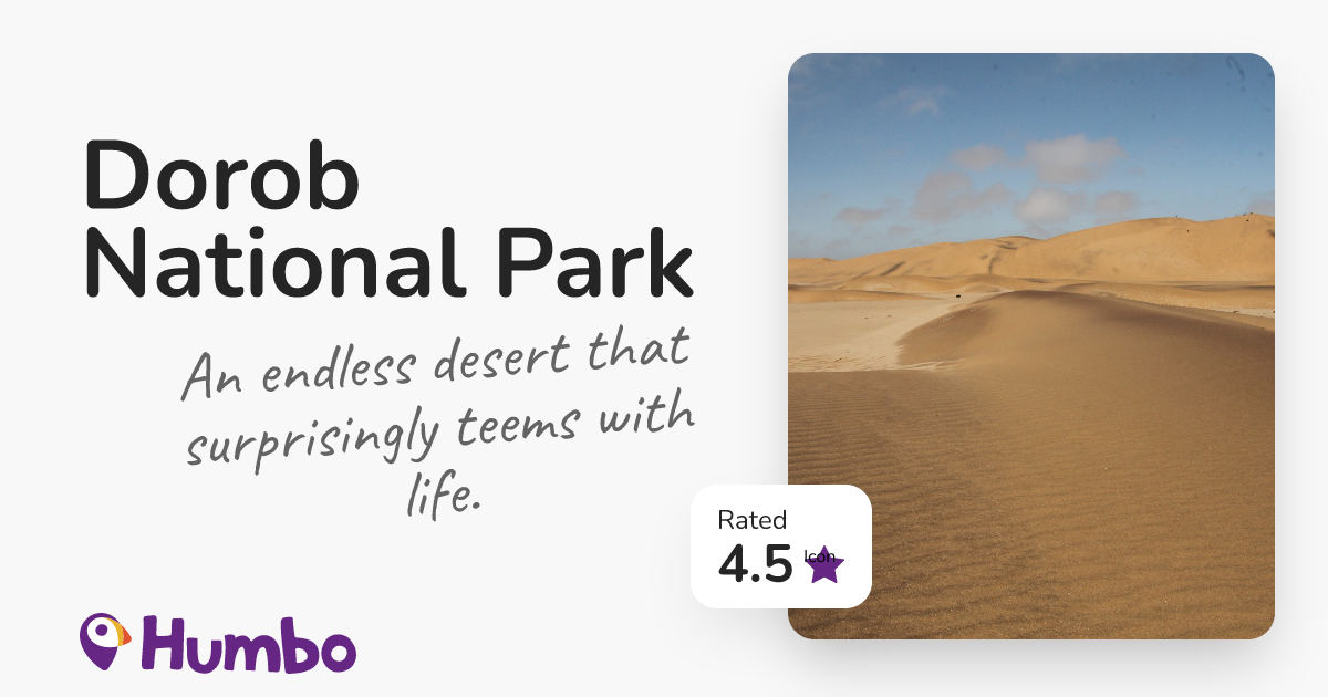 Dorob National Park - An endless desert that surprisingly teems with life.