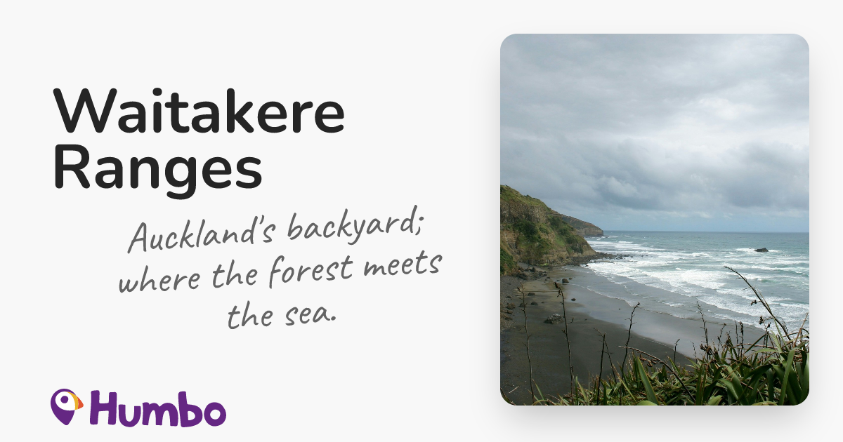 Waitakere Ranges - Auckland's backyard; where the forest meets the sea.