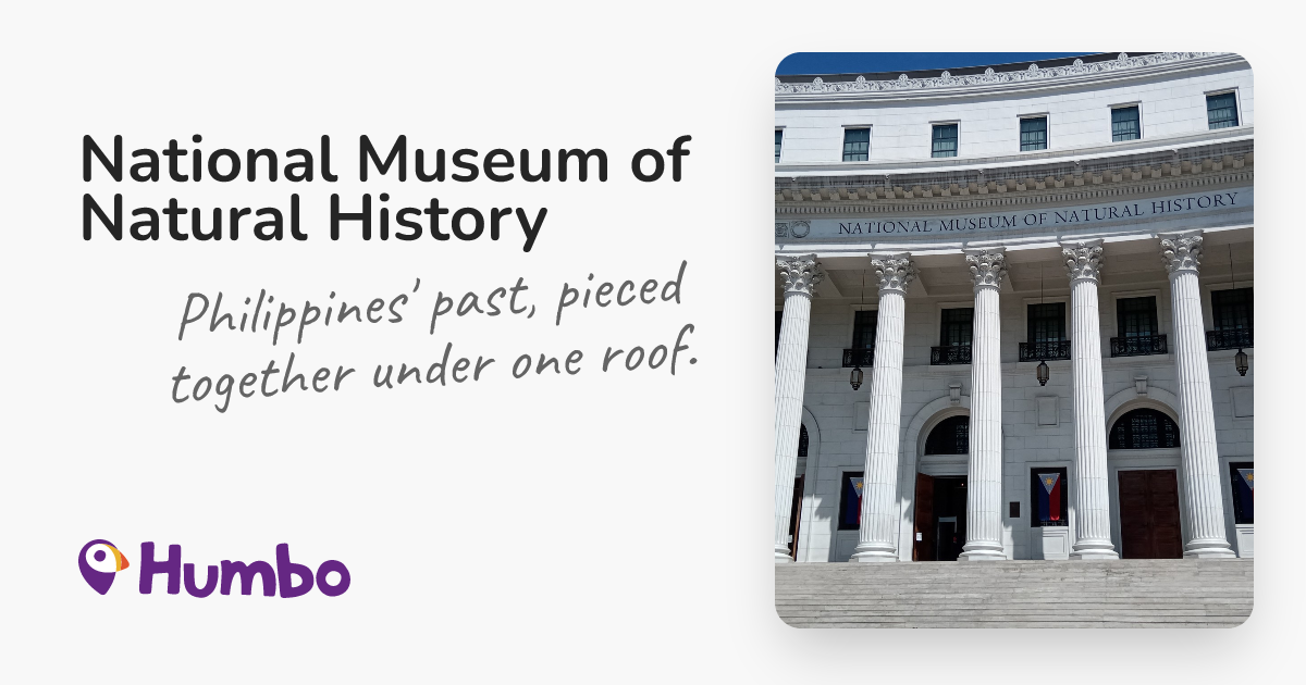 National Museum of Natural History - Philippines' past, pieced together ...