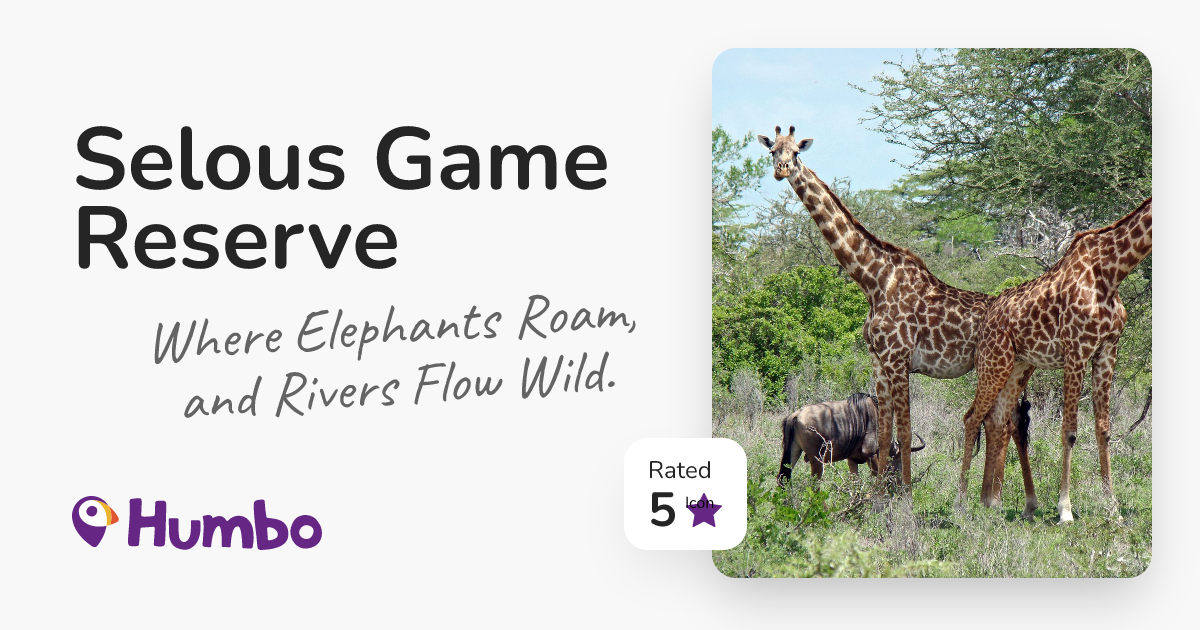 Selous Game Reserve - Where Elephants Roam, and Rivers Flow Wild.