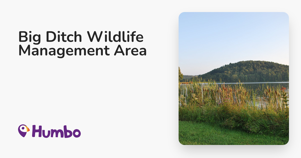 Big Ditch Wildlife Management Area, United States - Be the first to ...