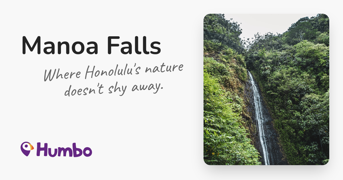 Manoa Falls - Where Honolulu's nature doesn't shy away.