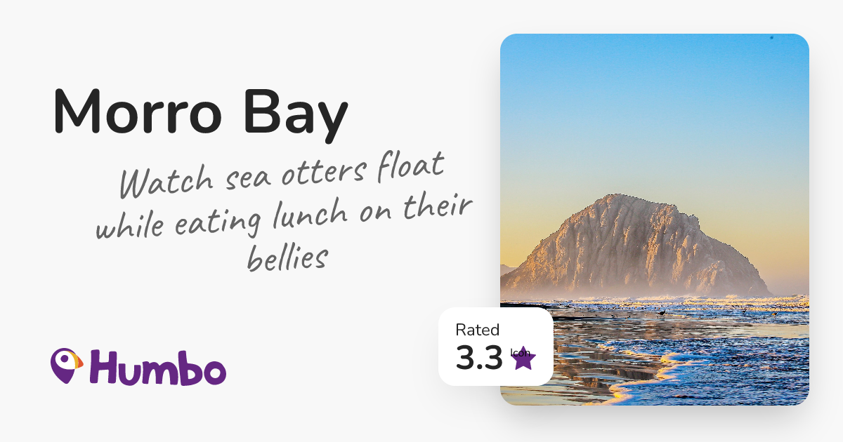 Morro Bay - Watch sea otters float while eating lunch on their bellies