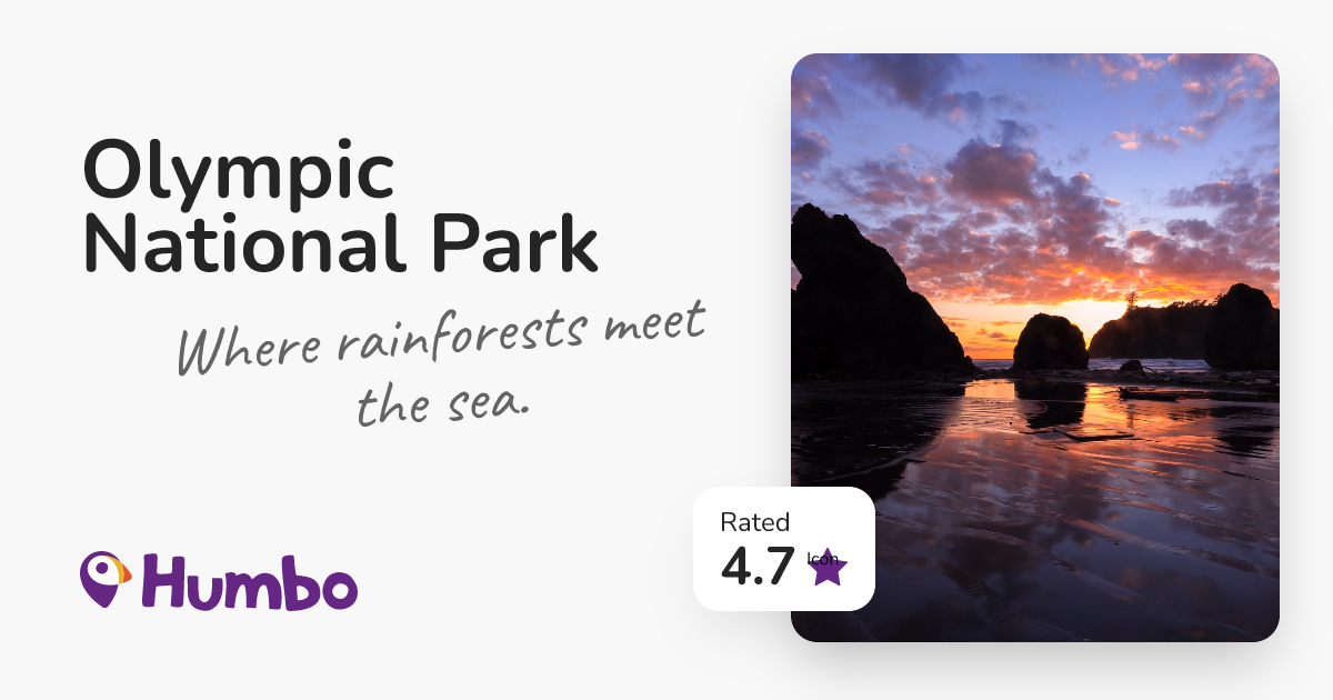 Olympic National Park - Where rainforests meet the sea.