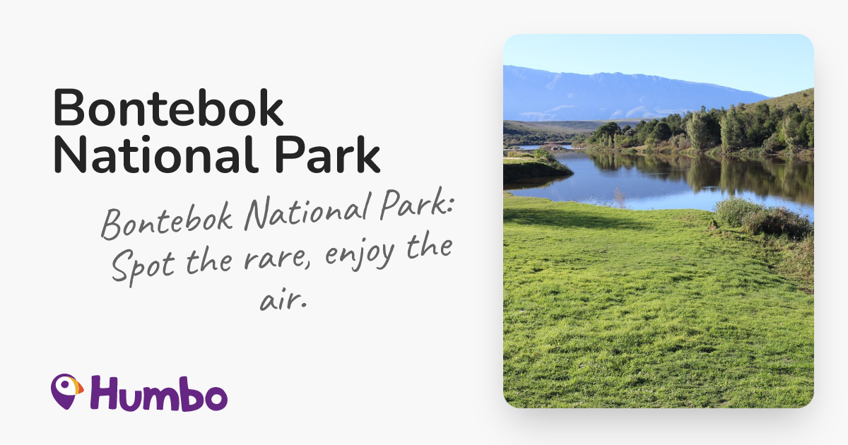 Bontebok National Park - Bontebok National Park: Spot the rare, enjoy ...