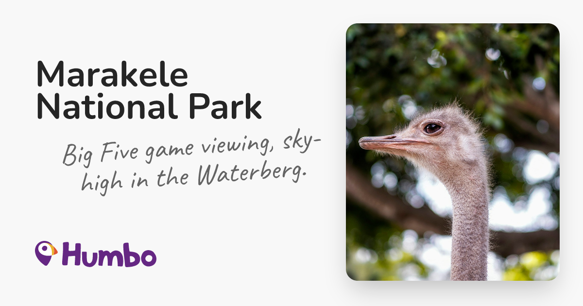 Marakele National Park - Big Five game viewing, sky-high in the Waterberg.